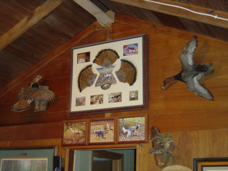 Great Grouse Mount Ideas for all Budgets | ON TARGET in CANADA