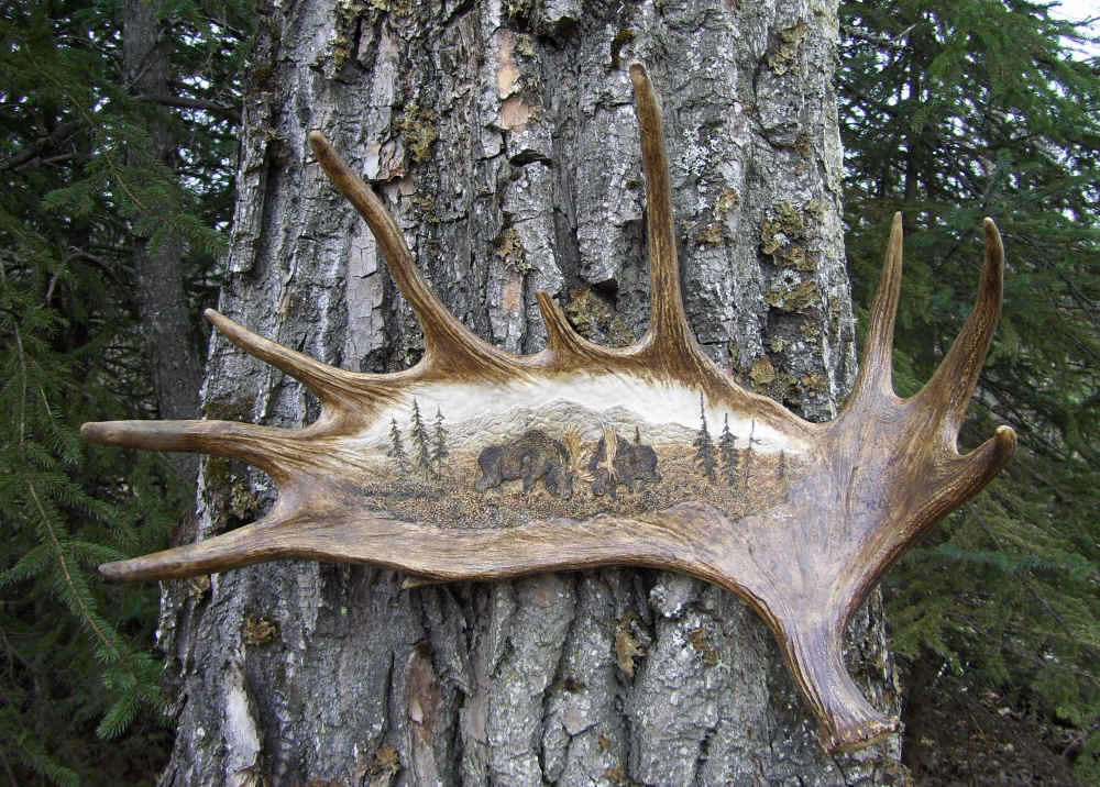 Unusual but amazing moose antler trophies | ON TARGET in CANADA