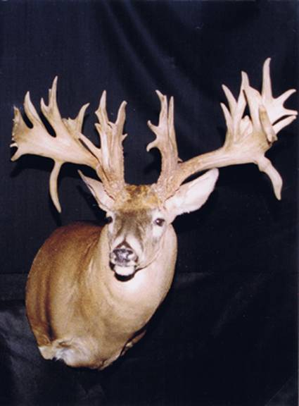 Gnarliest Bucks | ON TARGET in CANADA