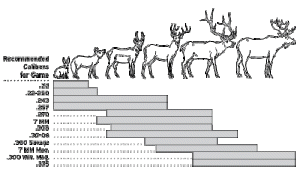 Recommended Caliber for Hunting Game | ON TARGET in CANADA