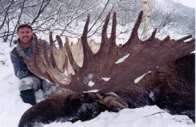 Shooting A World Record MOOSE | ON TARGET in CANADA