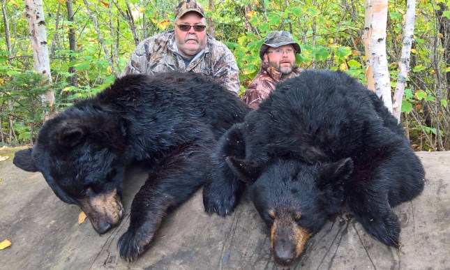 How To BEAR Eating Bear Meat | ON TARGET in CANADA